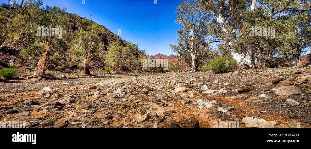 Dry river, Parachilna Gorge, Ranges National Park, Australia Stock ...