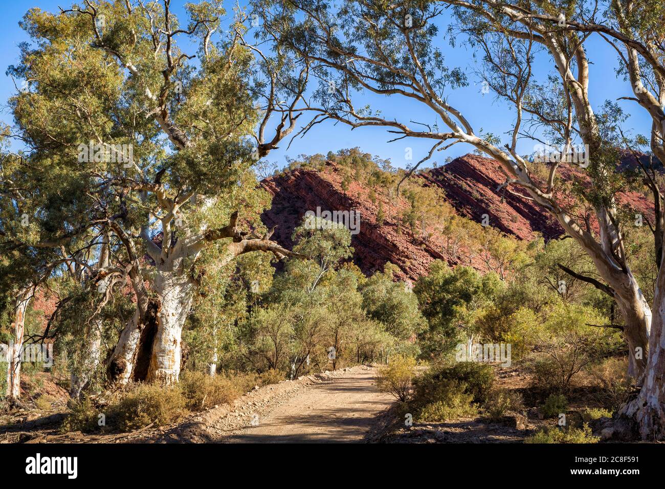 Brachina Gorge, Flinders Ranges National Park, Australia Stock Photo ...