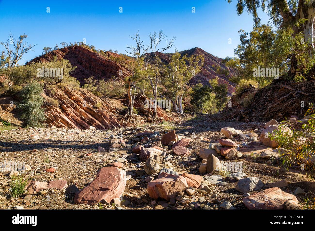 Brachina Gorge, Flinders Ranges National Park, Australia Stock Photo ...
