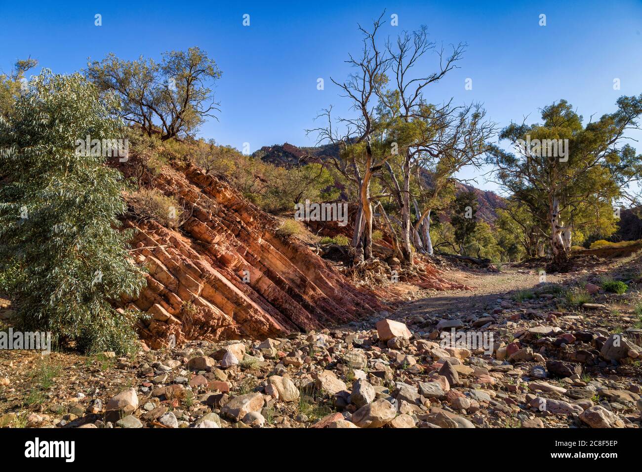 Brachina Gorge, Flinders Ranges National Park, Australia Stock Photo ...