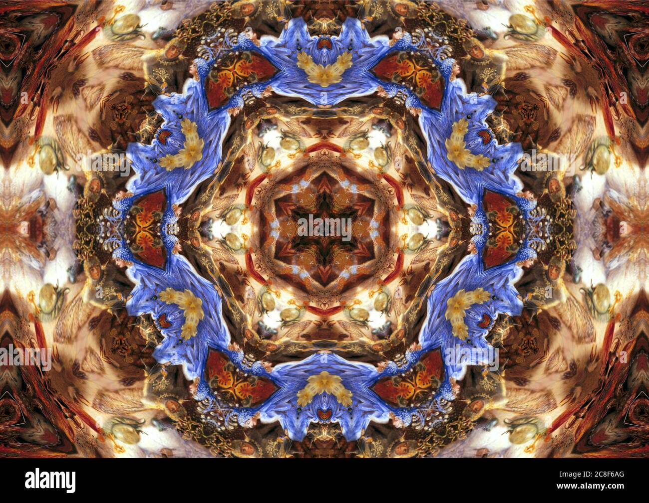 Mandala images inspired by the artwork The Captive Robin by John Anster ...