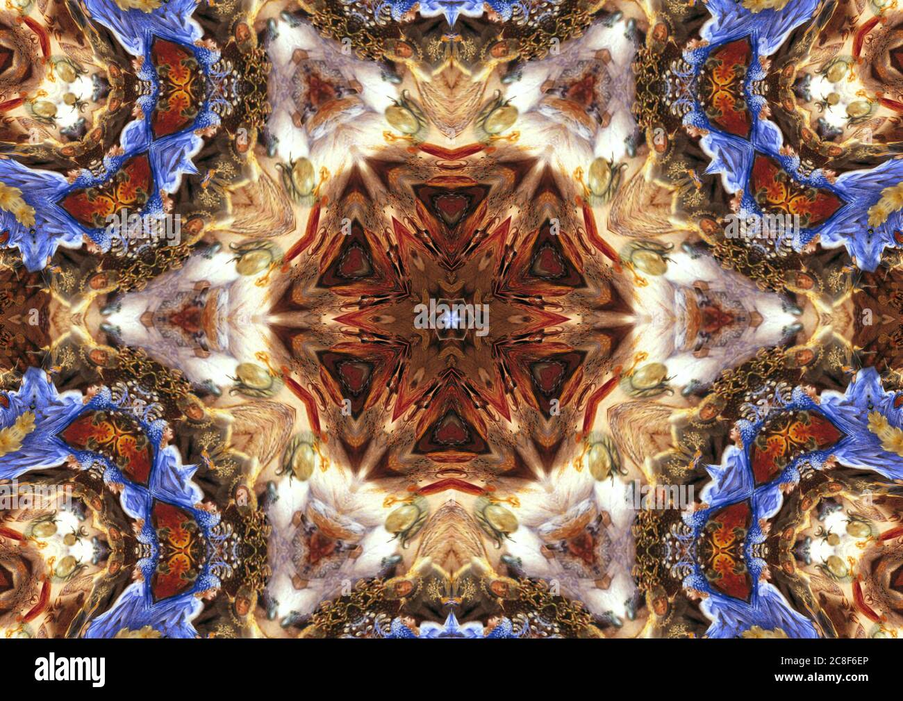 Mandala images inspired by the artwork The Captive Robin by John Anster ...