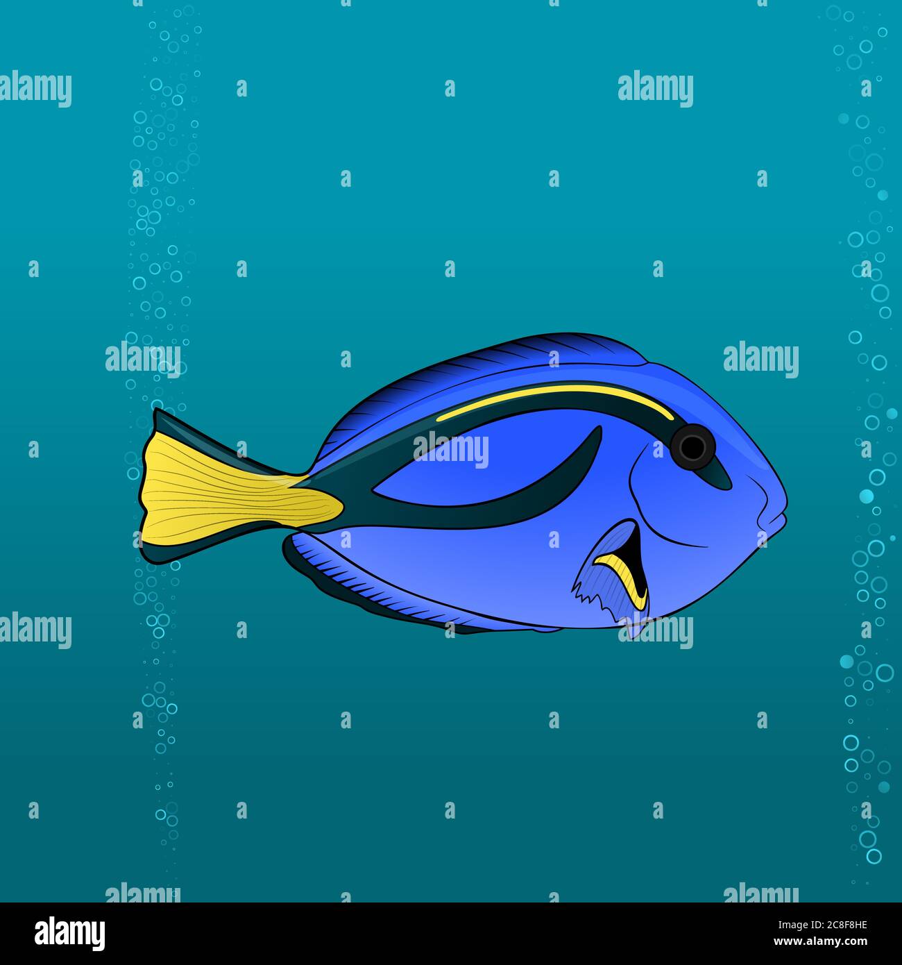 Blue Tang Fish Drawing