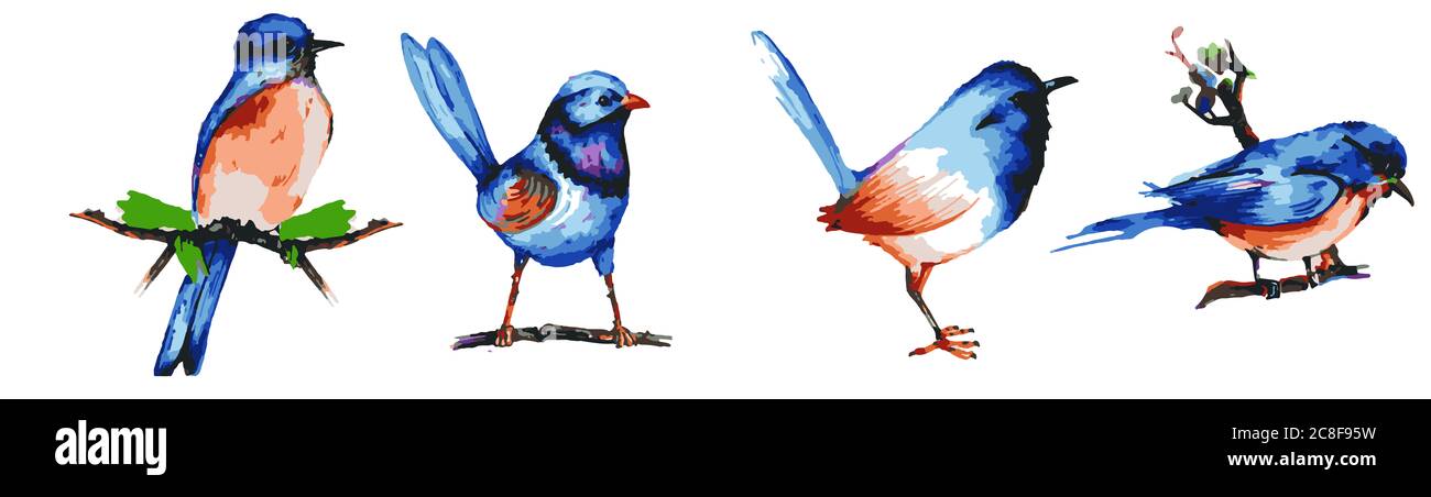 Vibrant blue birds Cut Out Stock Images & Pictures - Alamy