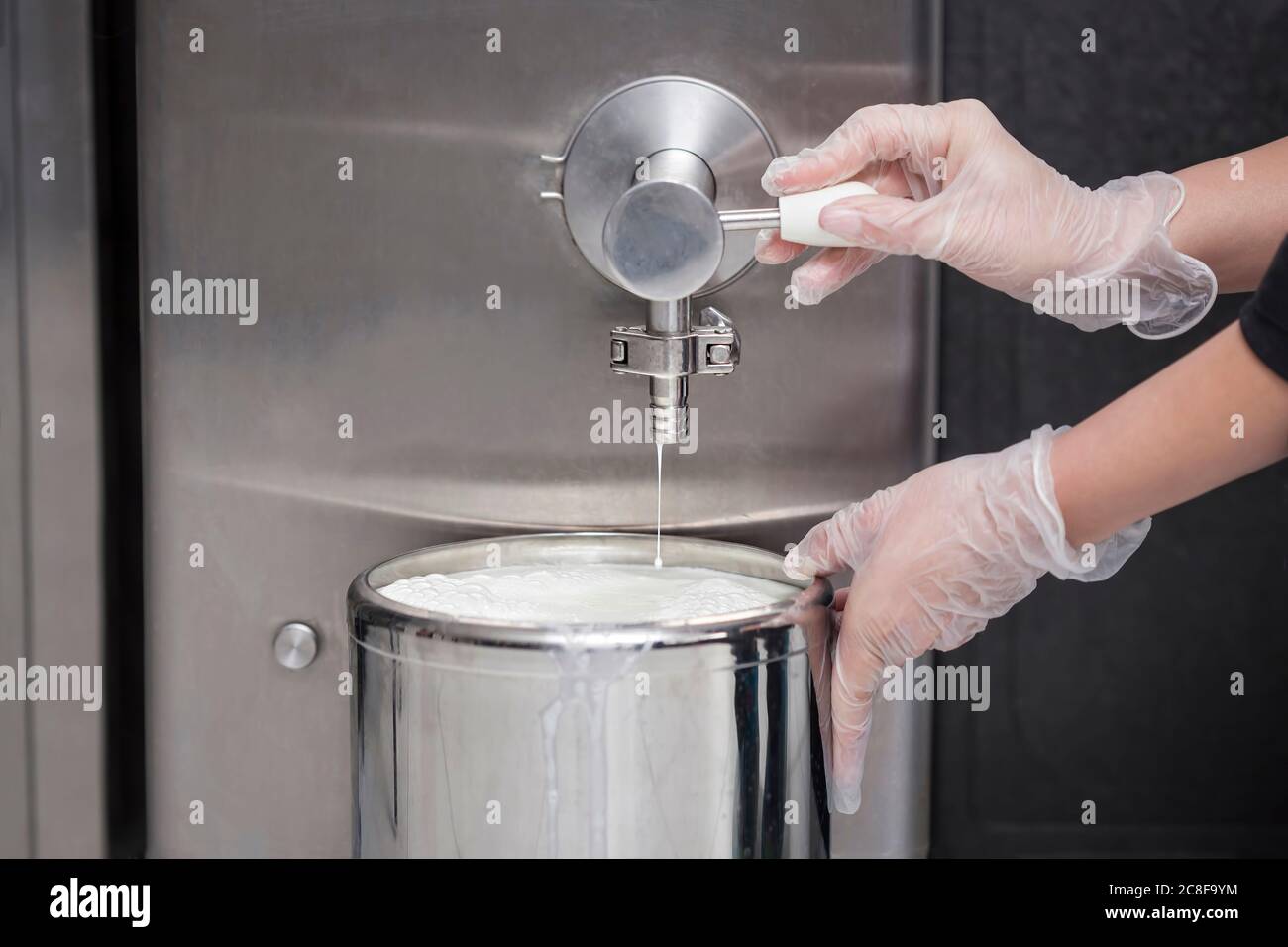 Close-up of the hand of a worker who fills fresh milk from a milk tank ...