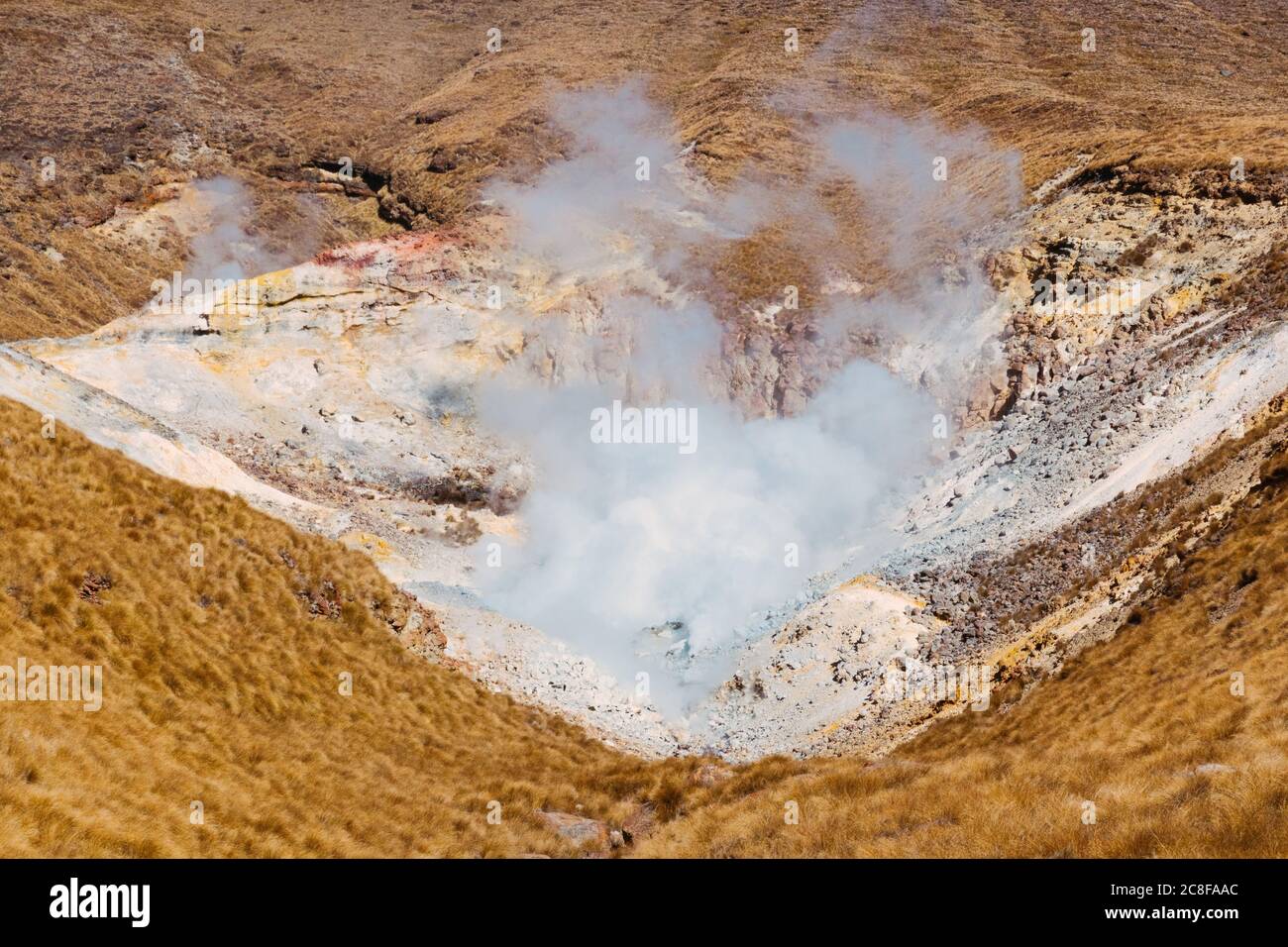 Steam billows from the Ketetahi Hot Springs, Tongariro National Park ...