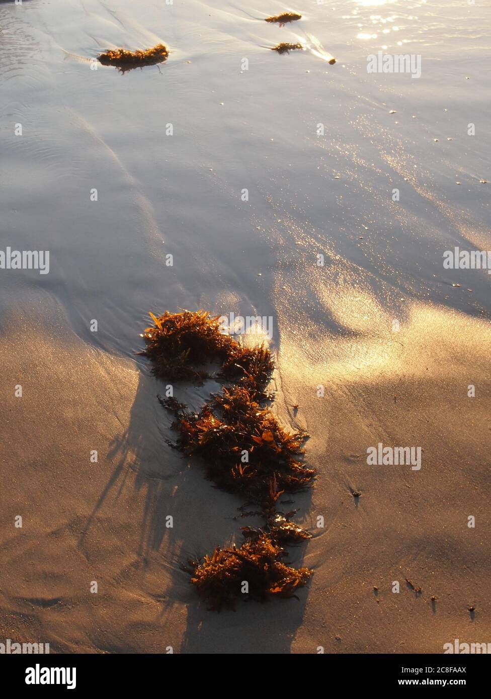 Sand and sea, South Australia Stock Photo - Alamy