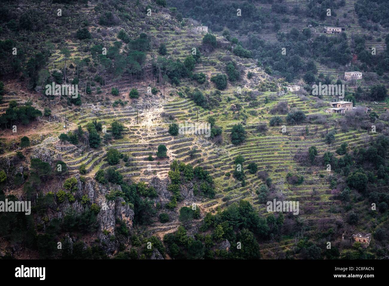 View from Our Lady of Qannoubine Monastery in Kadisha Valley also ...