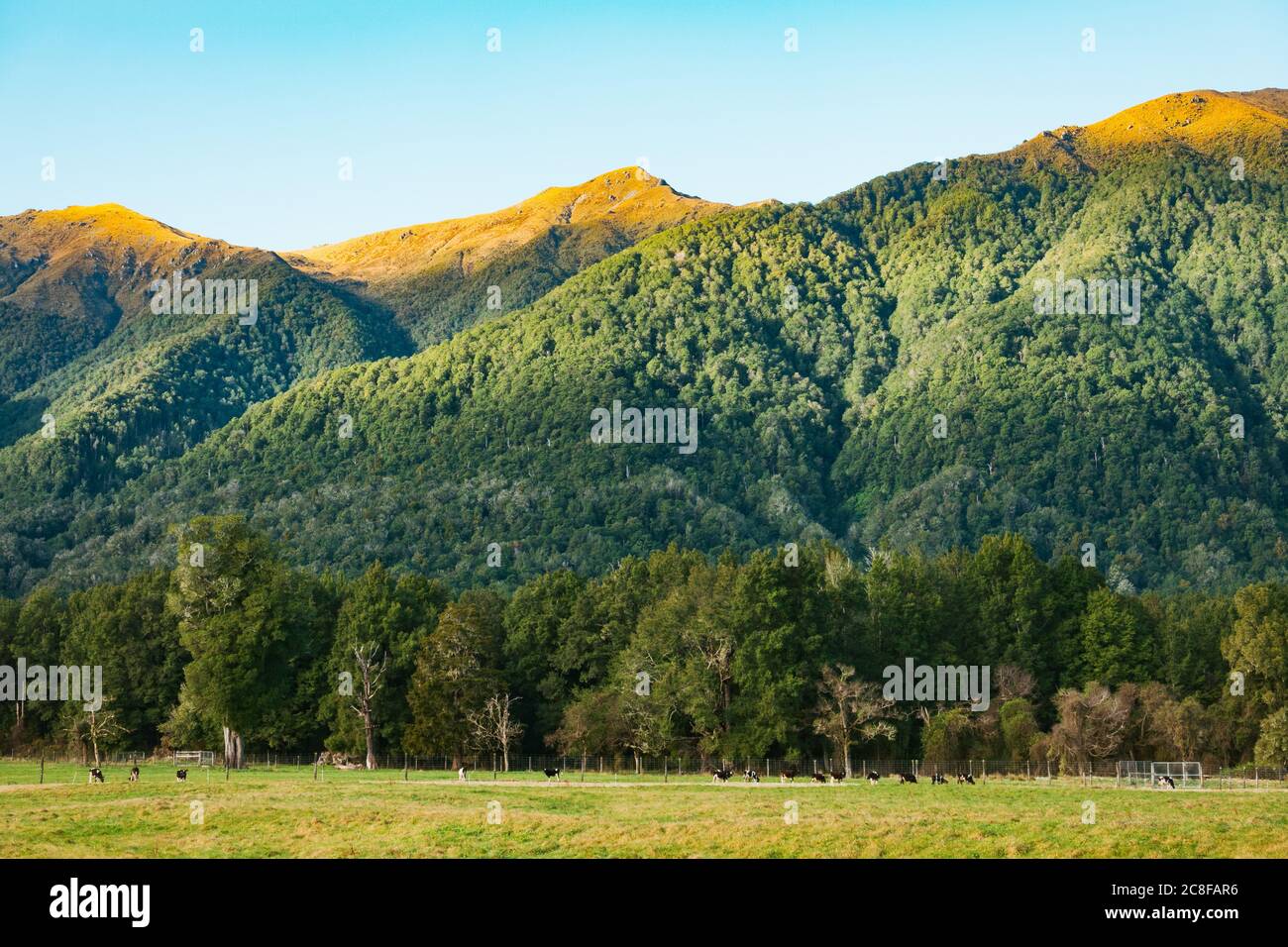 Ahaura hi-res stock photography and images - Alamy