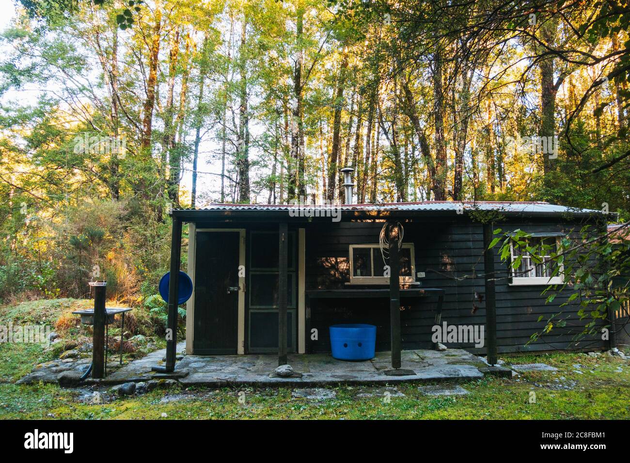 A classic Kiwi bush bach located in dense forest on the West Coast of ...