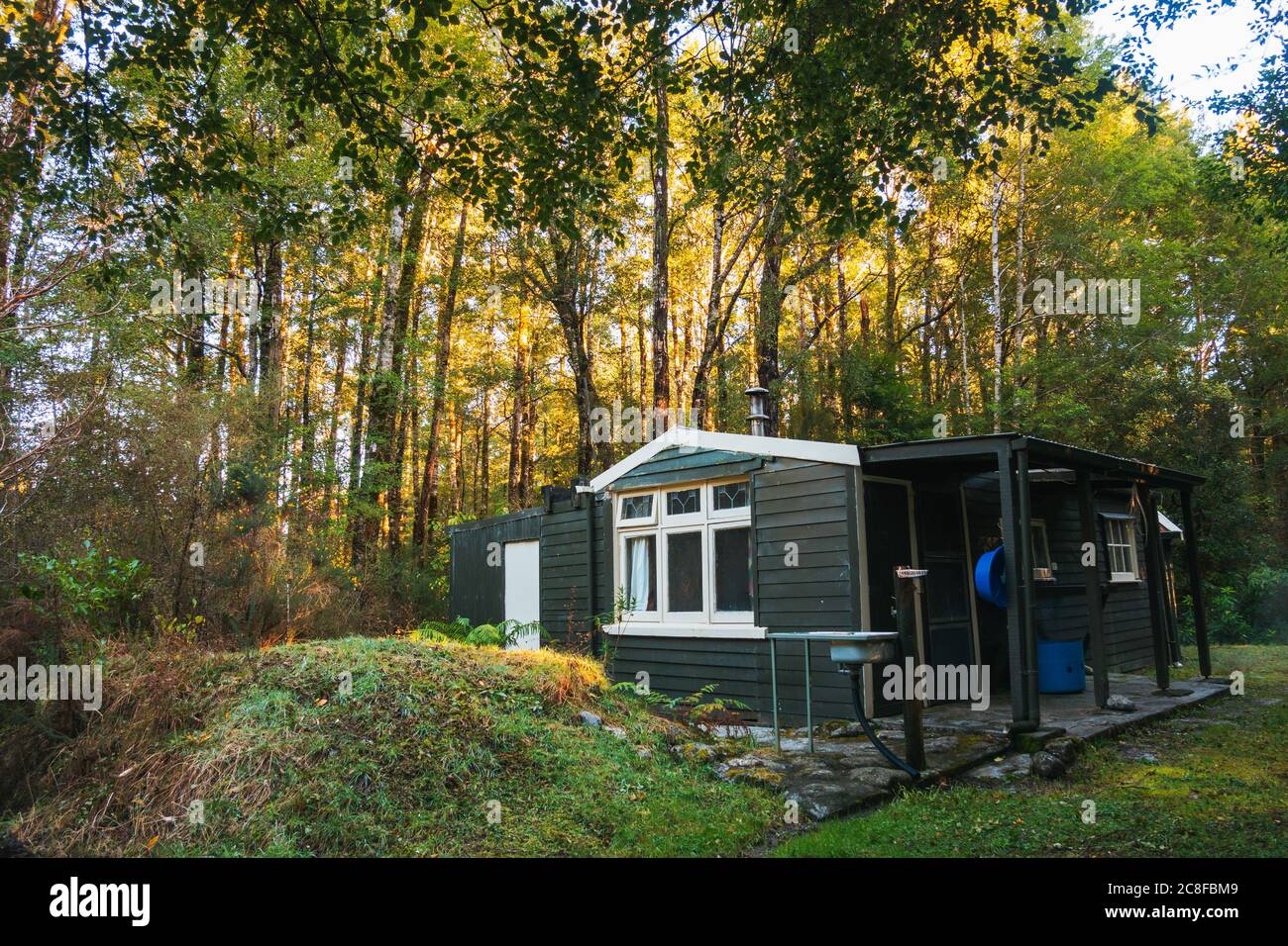 A classic Kiwi bush bach located in dense forest on the West Coast of ...