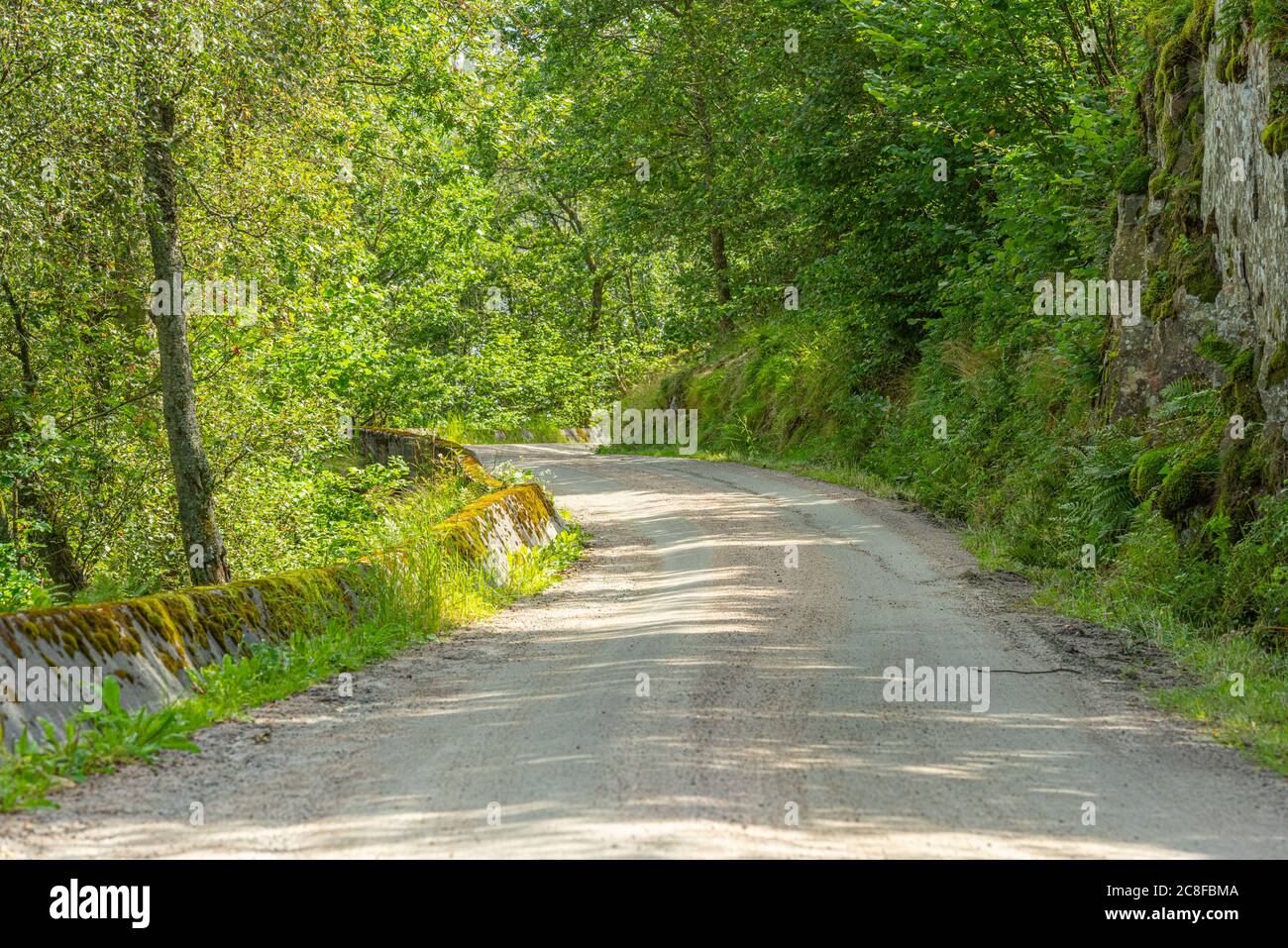 Scenic drive through natural landscapes hi-res stock photography and ...