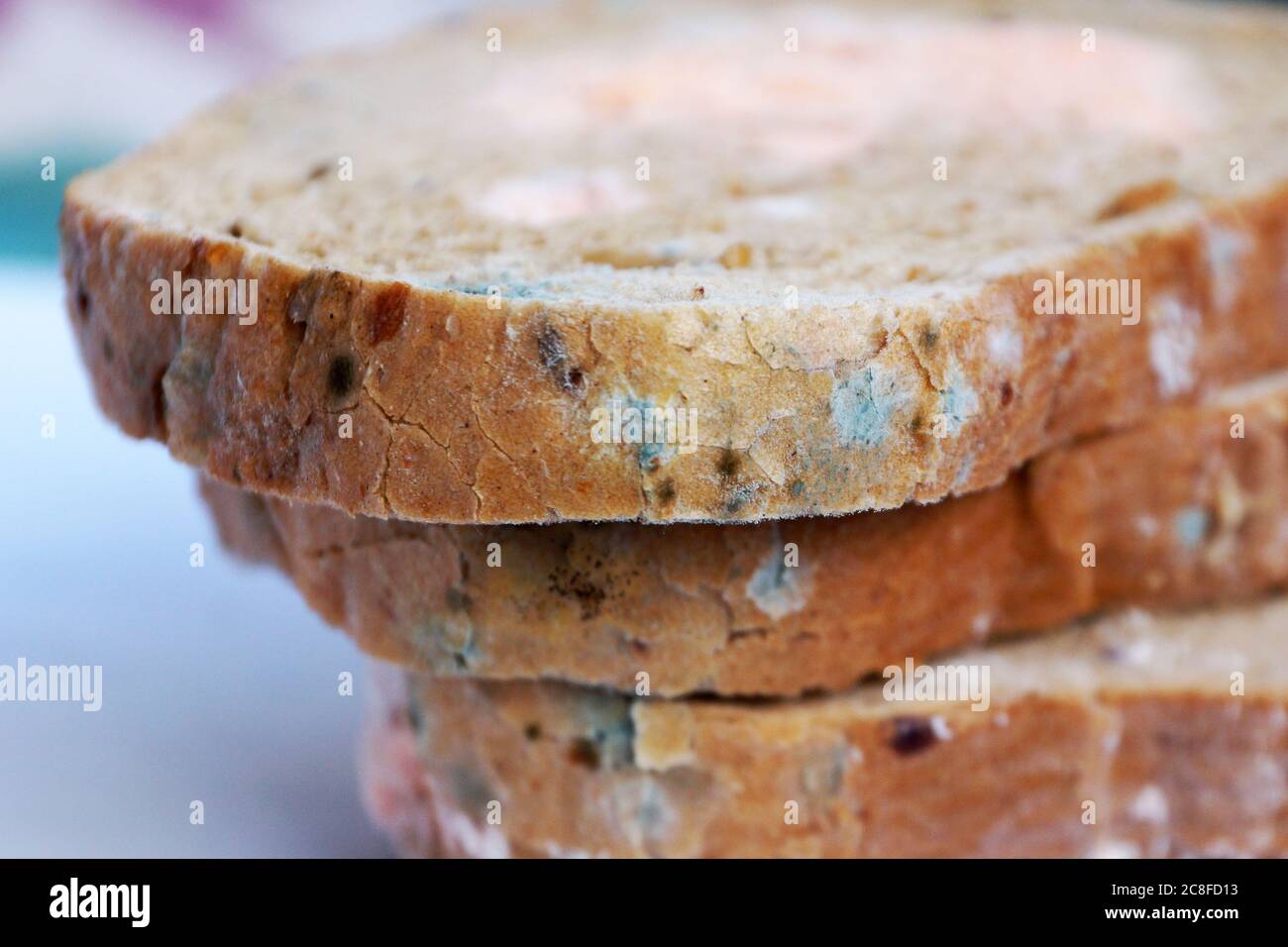 Pink mold on bread hi-res stock photography and images - Alamy