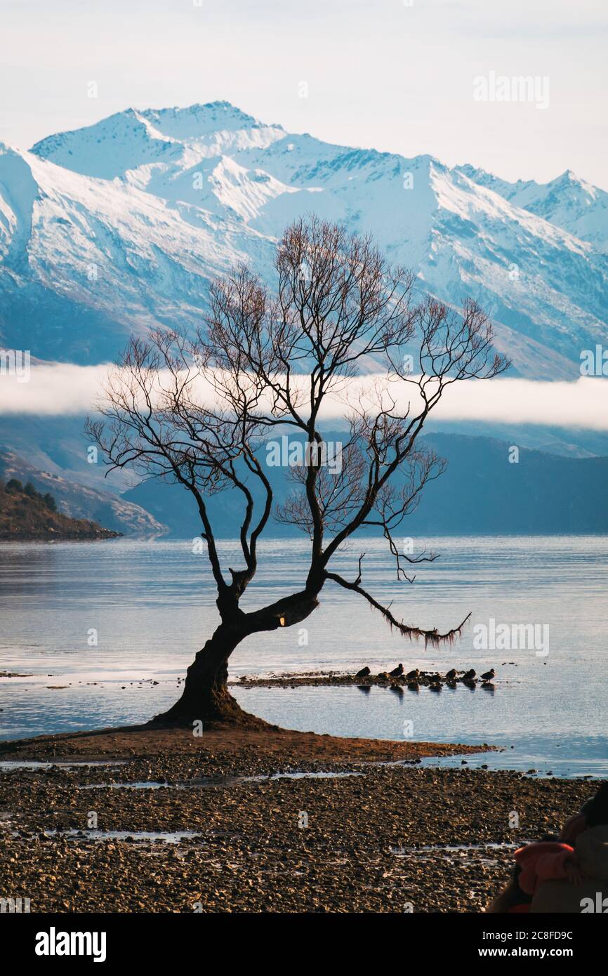 New zealand lake wanaka beach hi-res stock photography and images - Alamy
