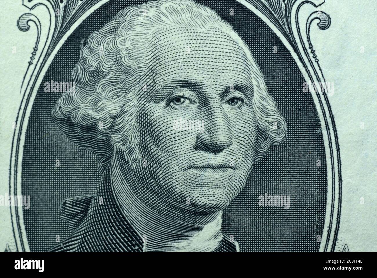 George Washington Dollar Bill Portrait