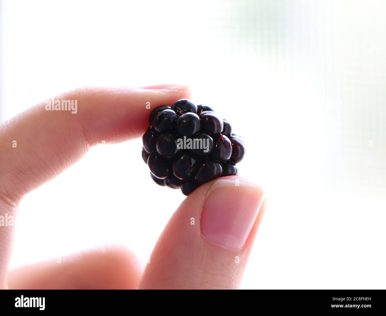 A close-up photo of a beautiful mouth-watering raspberry Stock Photo ...