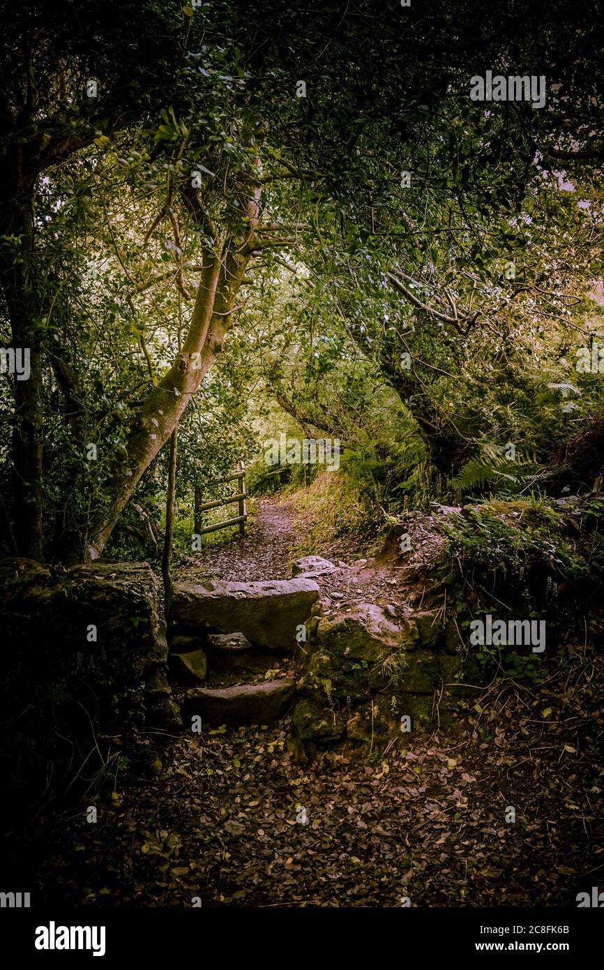 Old stile hi-res stock photography and images - Alamy
