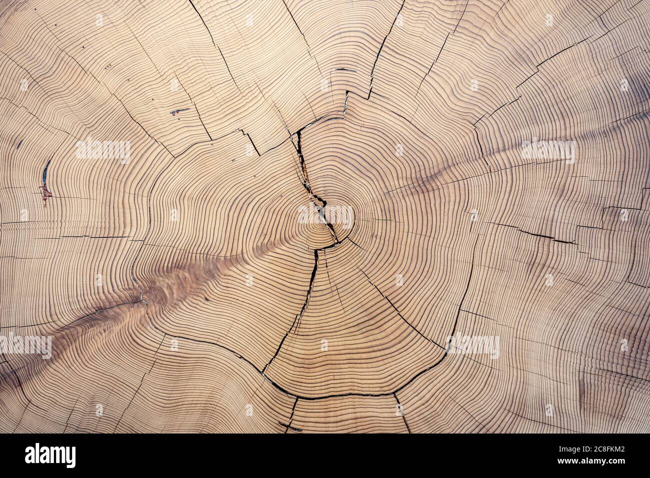 Old cut wood texture Stock Photo - Alamy