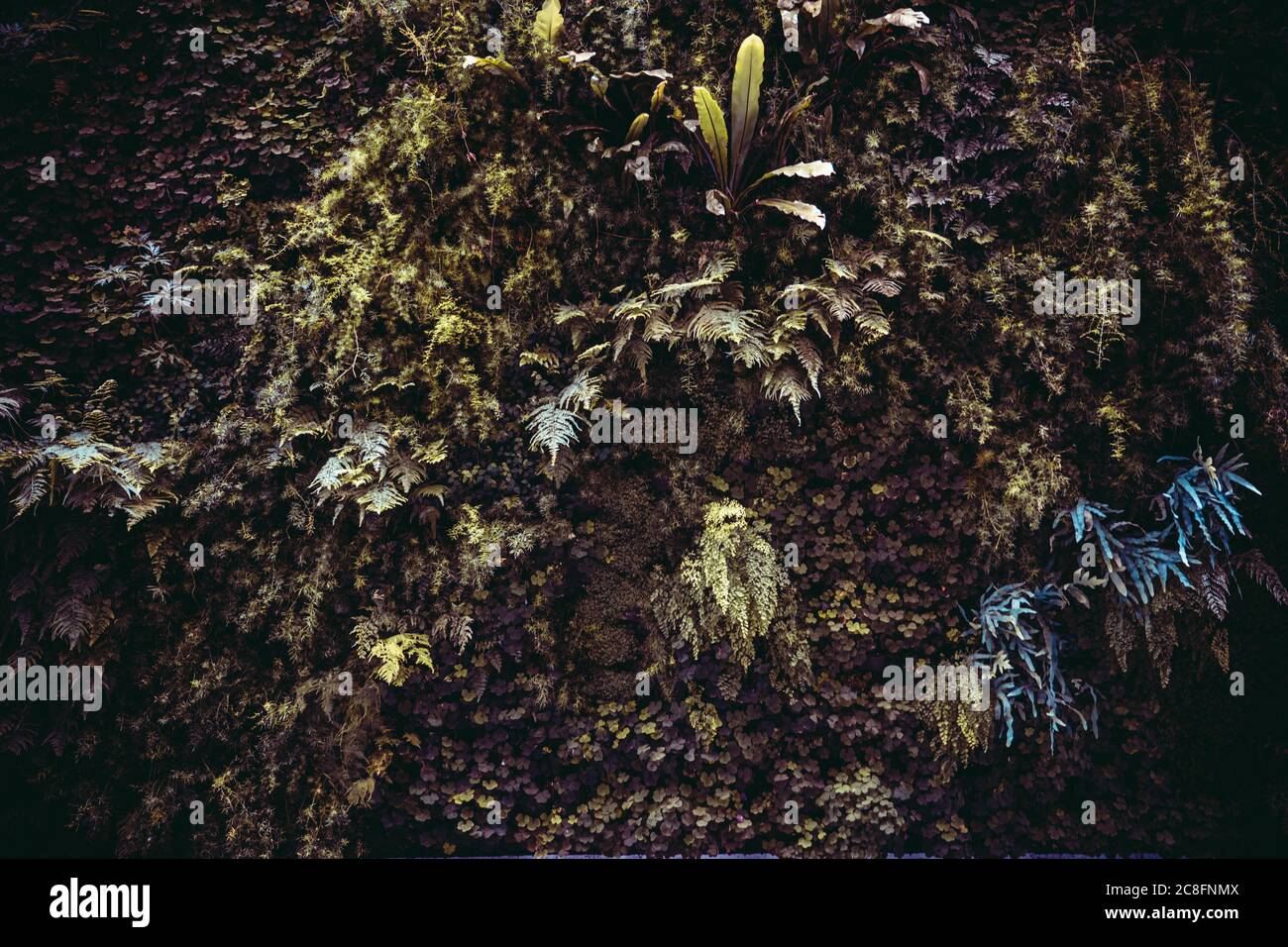 Plants pattern layout design. Ecology natural creative concept Stock ...