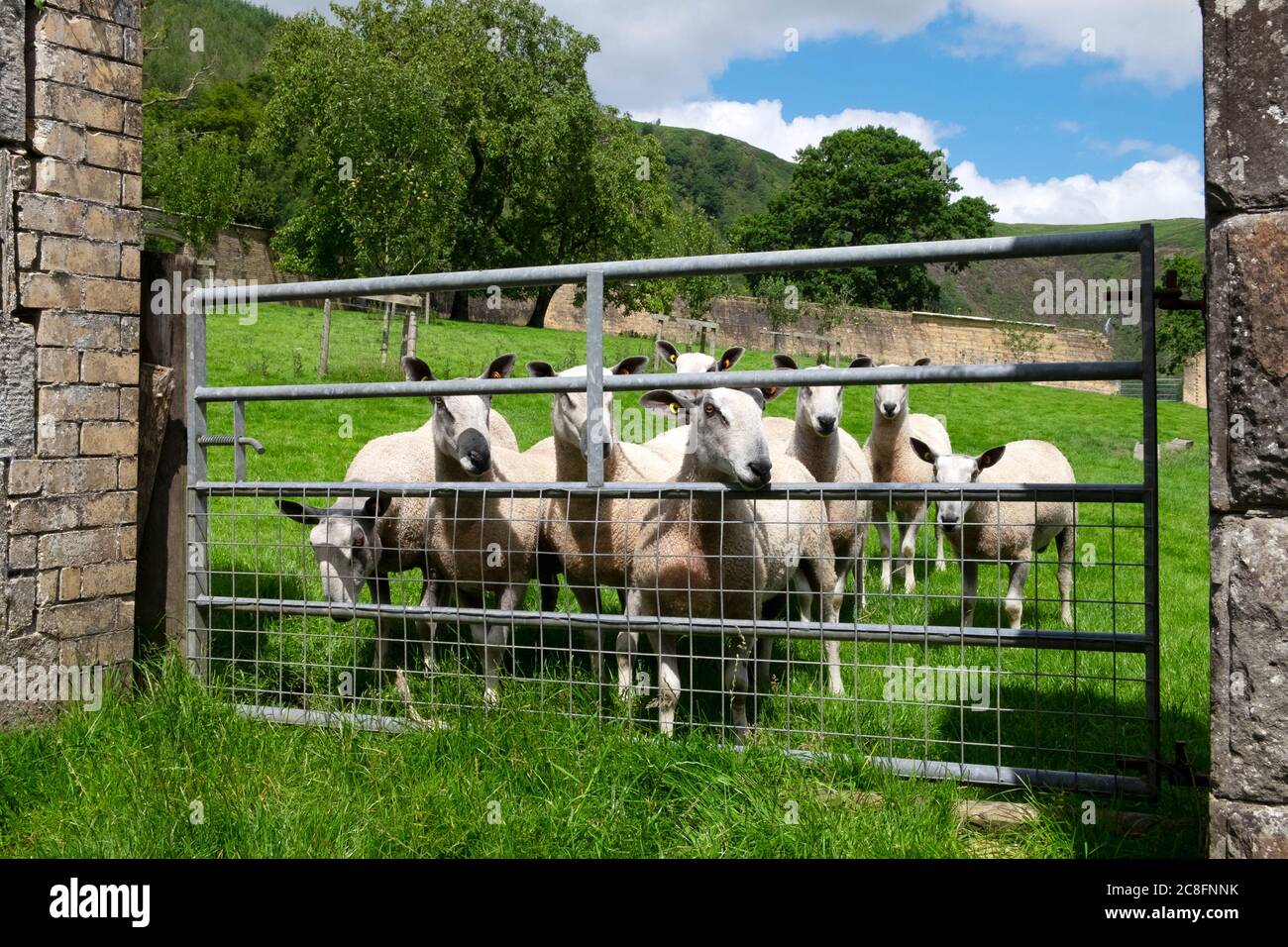 Cilycwm hi-res stock photography and images - Alamy