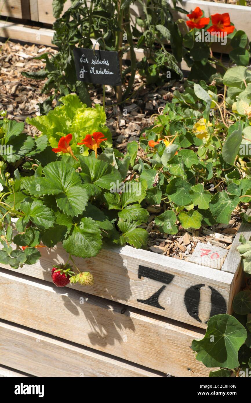 THE WORLD'S LARGEST URBAN FARM IS COMING TO A PARIS ROOFTOP Stock Photo ...