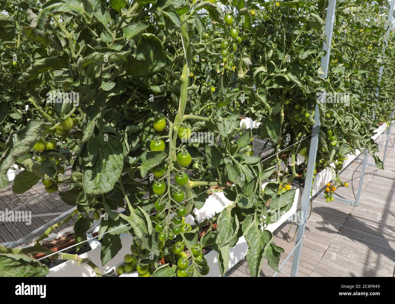 THE WORLD'S LARGEST URBAN FARM IS COMING TO A PARIS ROOFTOP Stock Photo ...