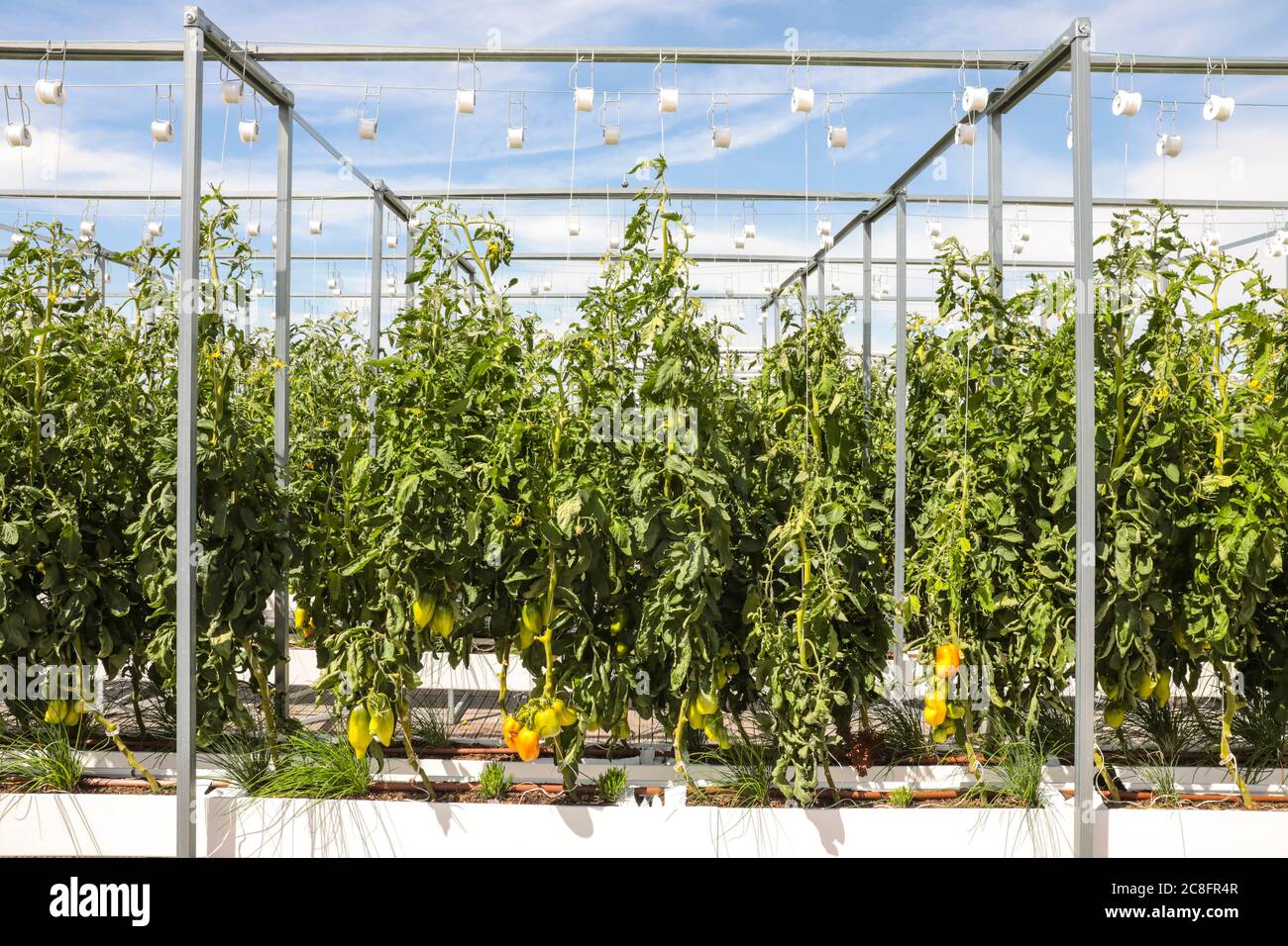 THE WORLD'S LARGEST URBAN FARM IS COMING TO A PARIS ROOFTOP Stock Photo ...
