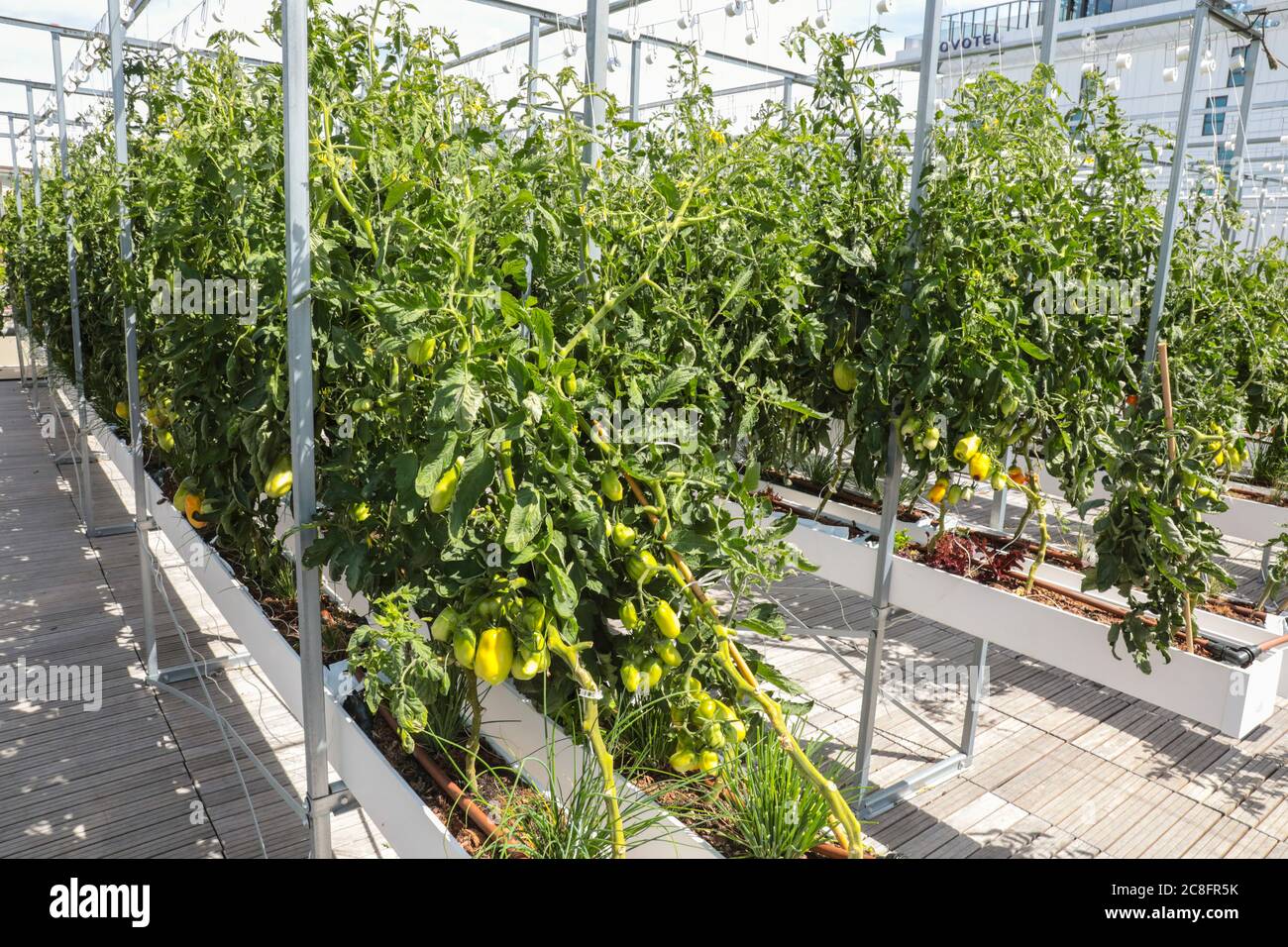 THE WORLD'S LARGEST URBAN FARM IS COMING TO A PARIS ROOFTOP Stock Photo ...