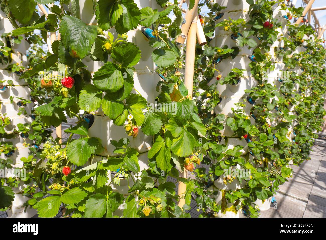 THE WORLD'S LARGEST URBAN FARM IS COMING TO A PARIS ROOFTOP Stock Photo ...