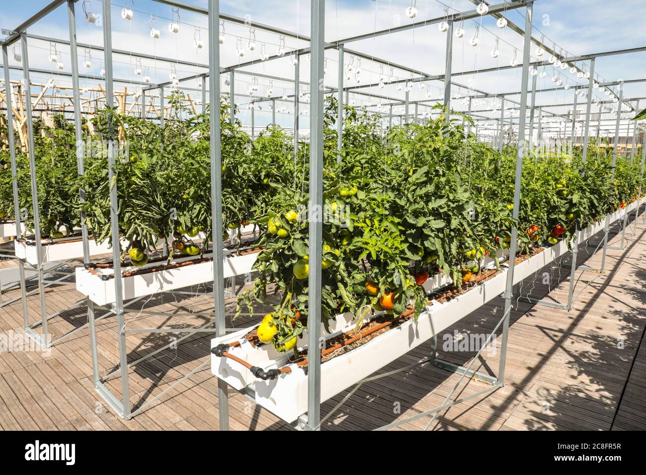 THE WORLD'S LARGEST URBAN FARM IS COMING TO A PARIS ROOFTOP Stock Photo ...