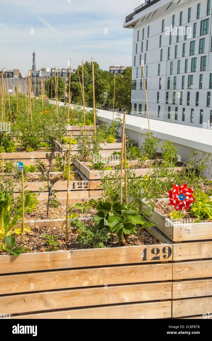 THE WORLD'S LARGEST URBAN FARM IS COMING TO A PARIS ROOFTOP Stock Photo ...