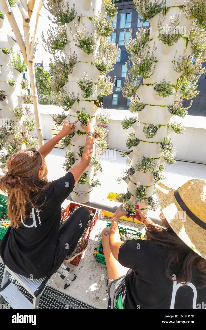 THE WORLD'S LARGEST URBAN FARM IS COMING TO A PARIS ROOFTOP Stock Photo ...