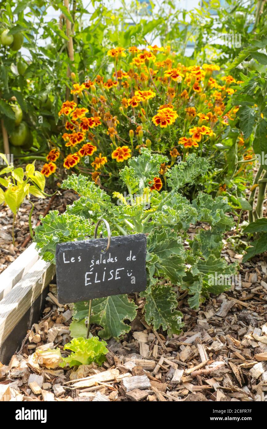 THE WORLD'S LARGEST URBAN FARM IS COMING TO A PARIS ROOFTOP Stock Photo ...