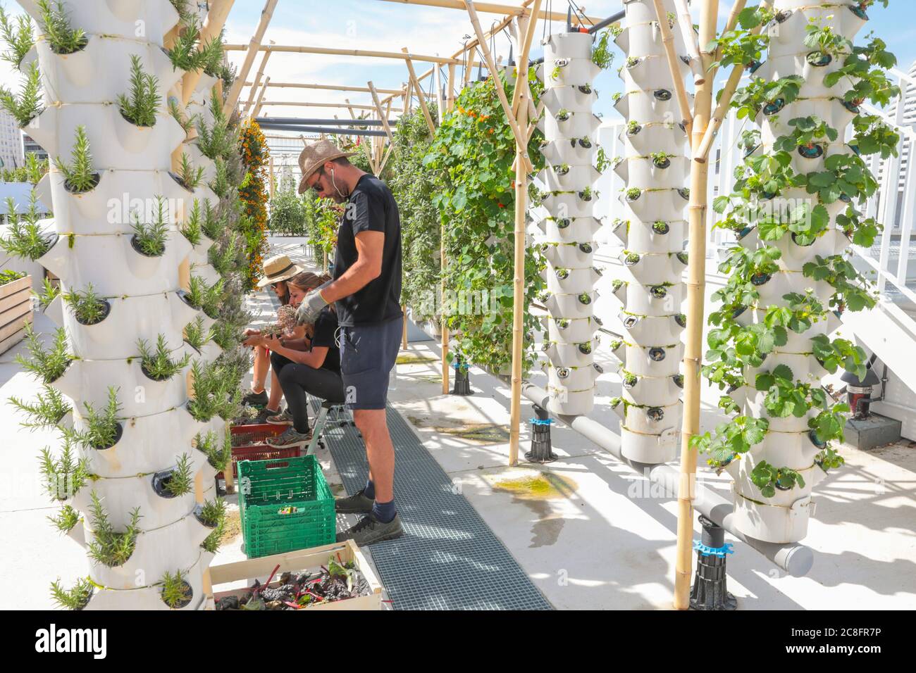 THE WORLD'S LARGEST URBAN FARM IS COMING TO A PARIS ROOFTOP Stock Photo ...