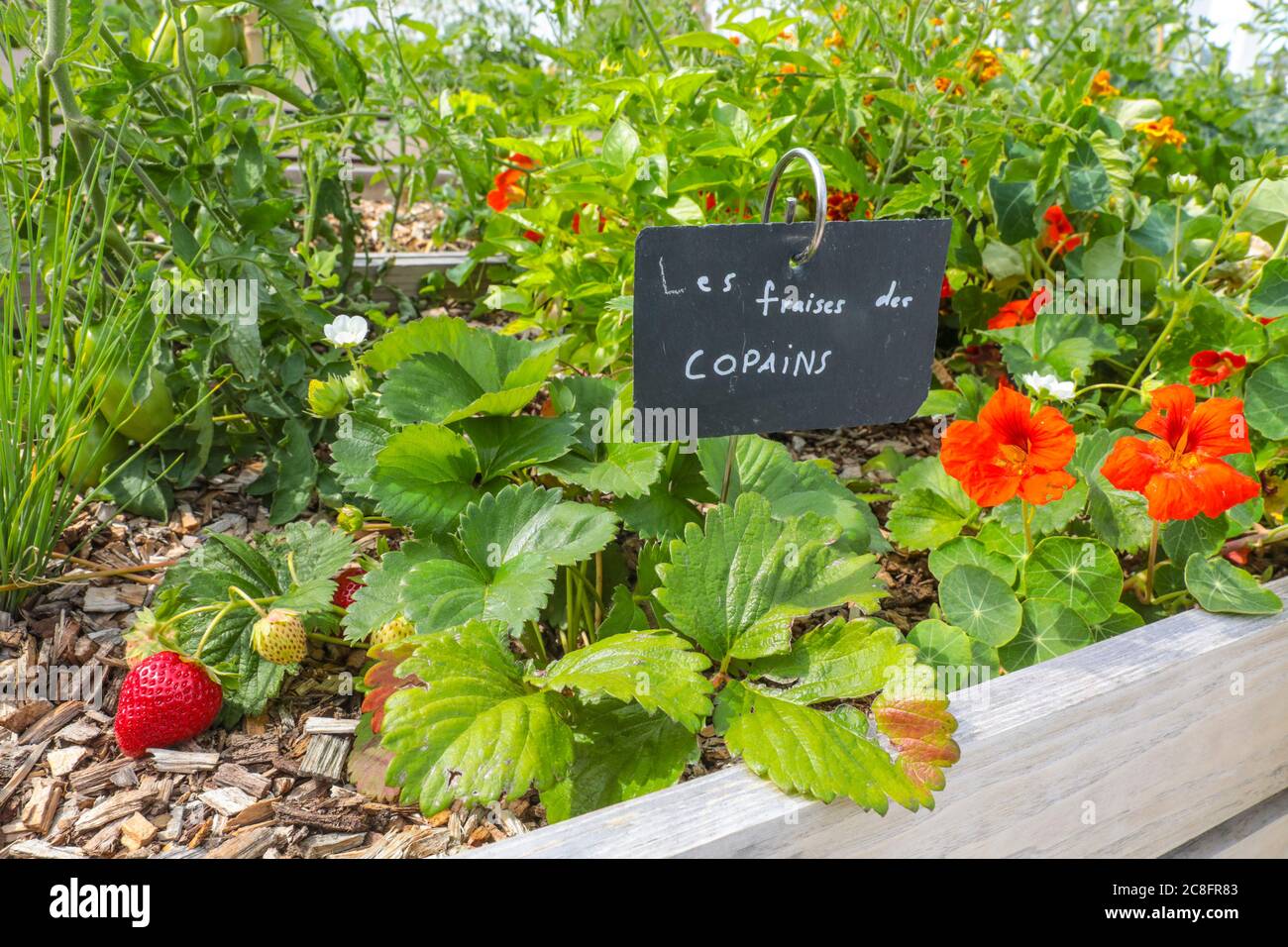 Paris rooftop farm hi-res stock photography and images - Alamy
