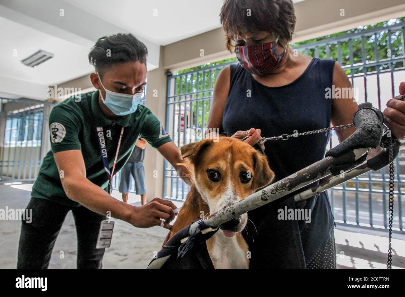 Rabies campaign hi-res stock photography and images - Alamy