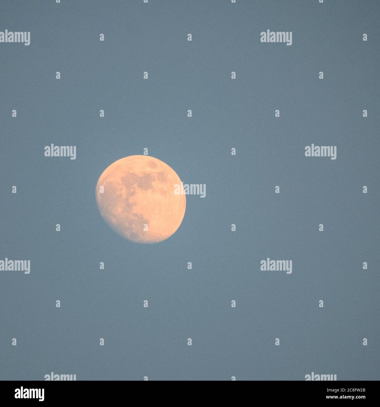 Full moon in the night sky, Great super moon in sky during the night ...