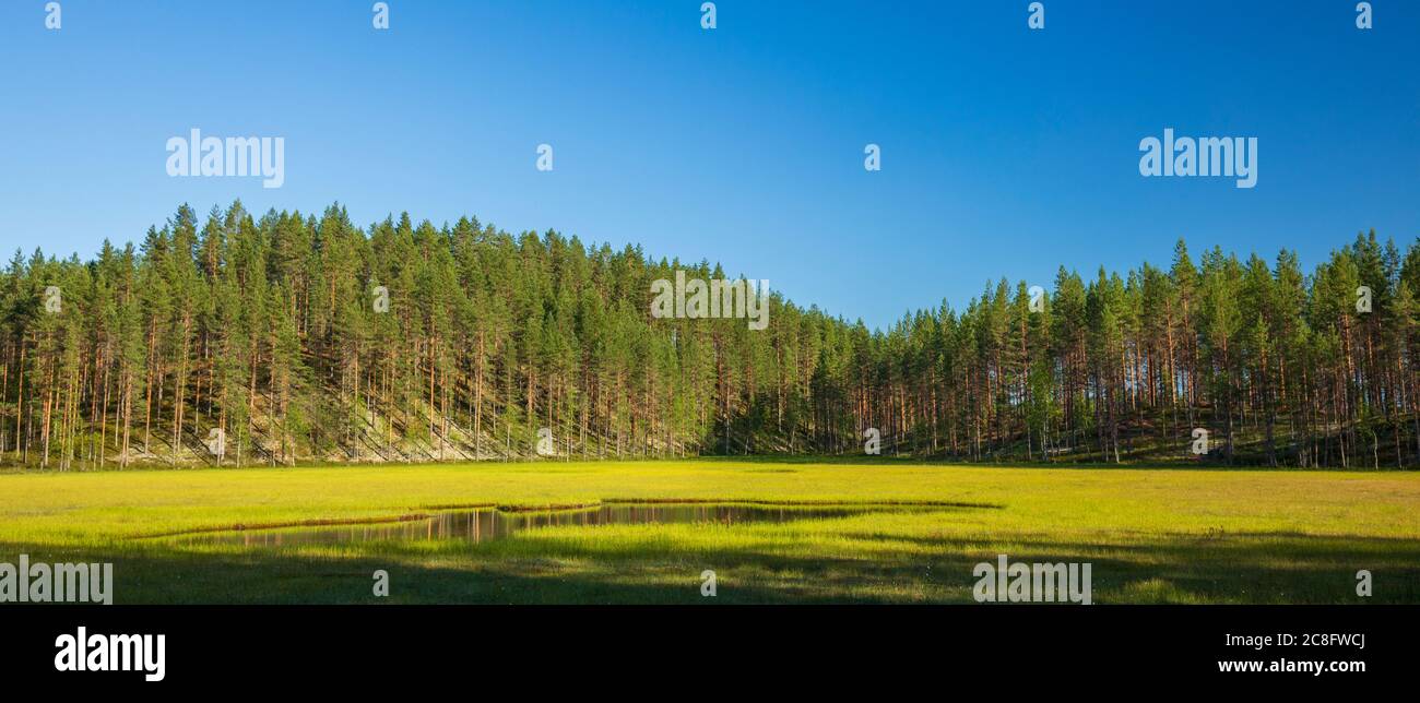 Esker pond hi-res stock photography and images - Alamy