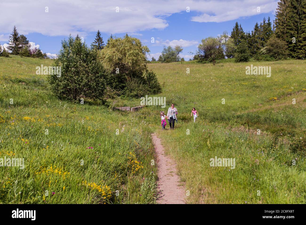 Family walking on beautiful meadows , summer day, nature landscape ...