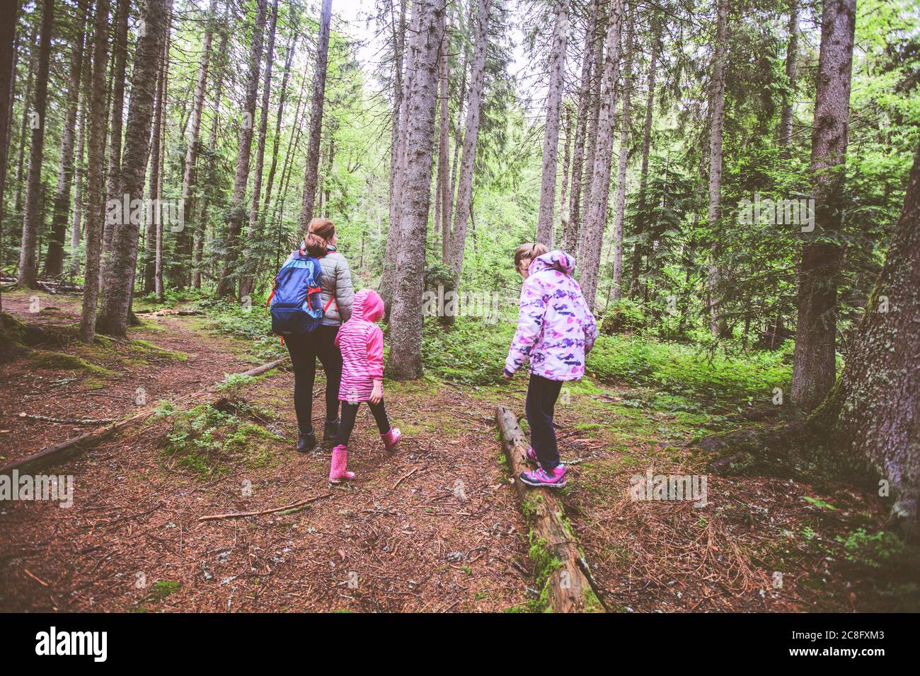 Family Adventure In Beautiful Summer Forest, Healthy Active Lifestyle ...