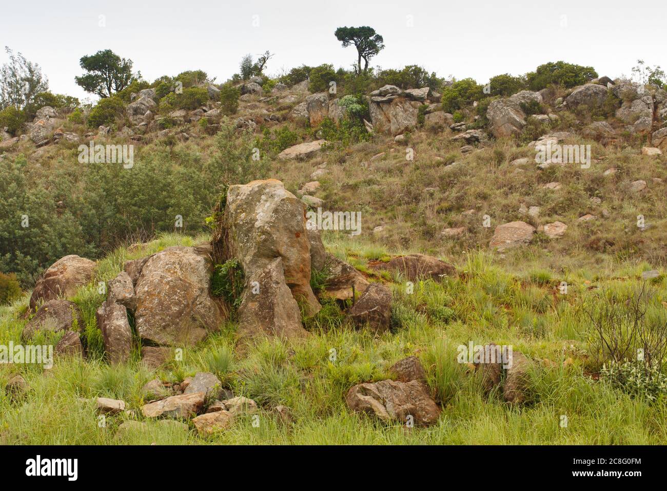 Landscape in Malolotja Nature Reserve, northern Swasiland, Hhohho ...