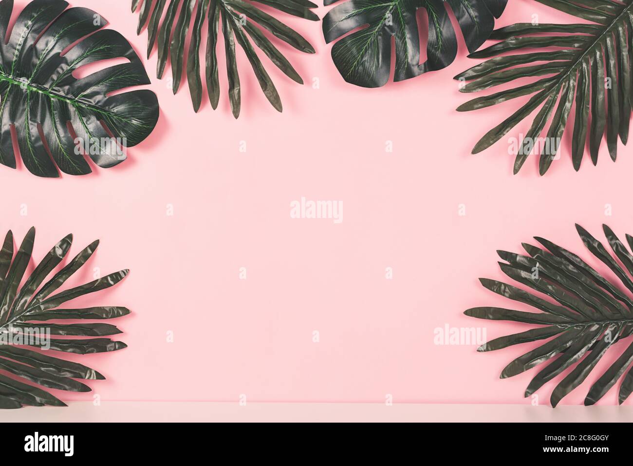 Pink tropical background hi-res stock photography and images - Alamy