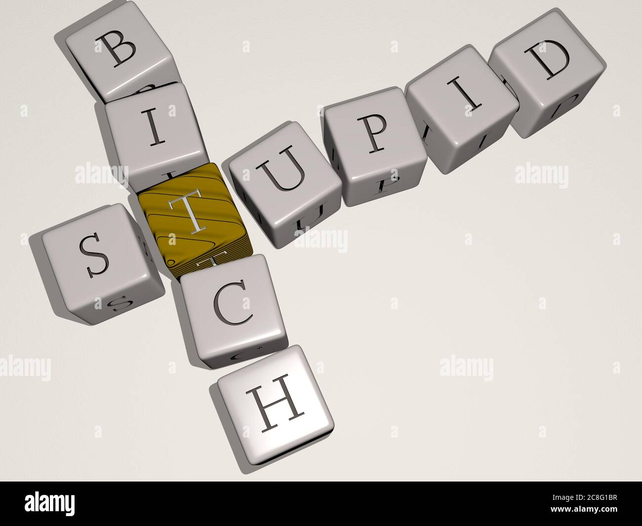 combination of STUPID BITCH built by cubic letters from the top ...