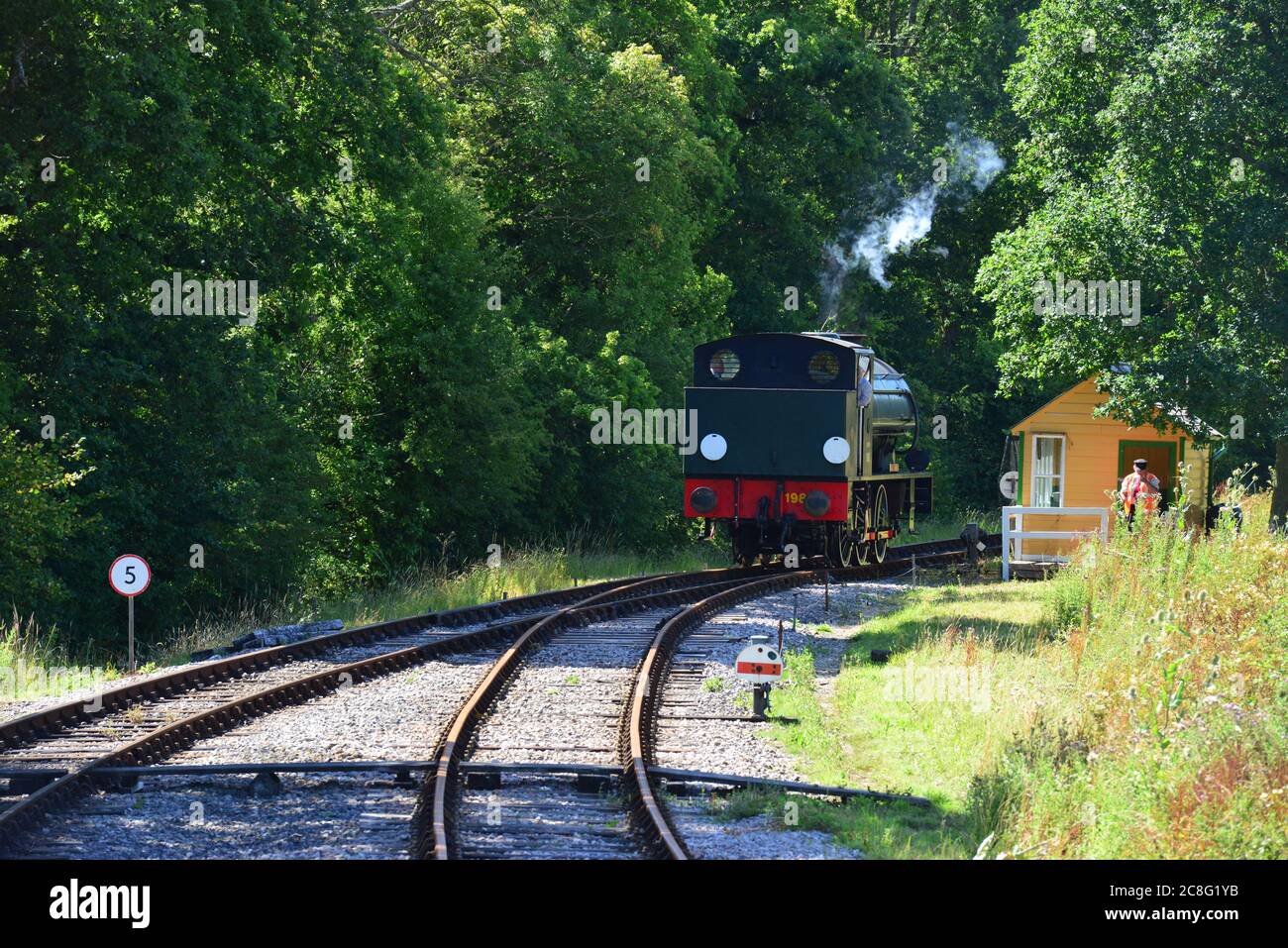 Royal Engineer reversing backwards on the Isle of Wight steam railway ...