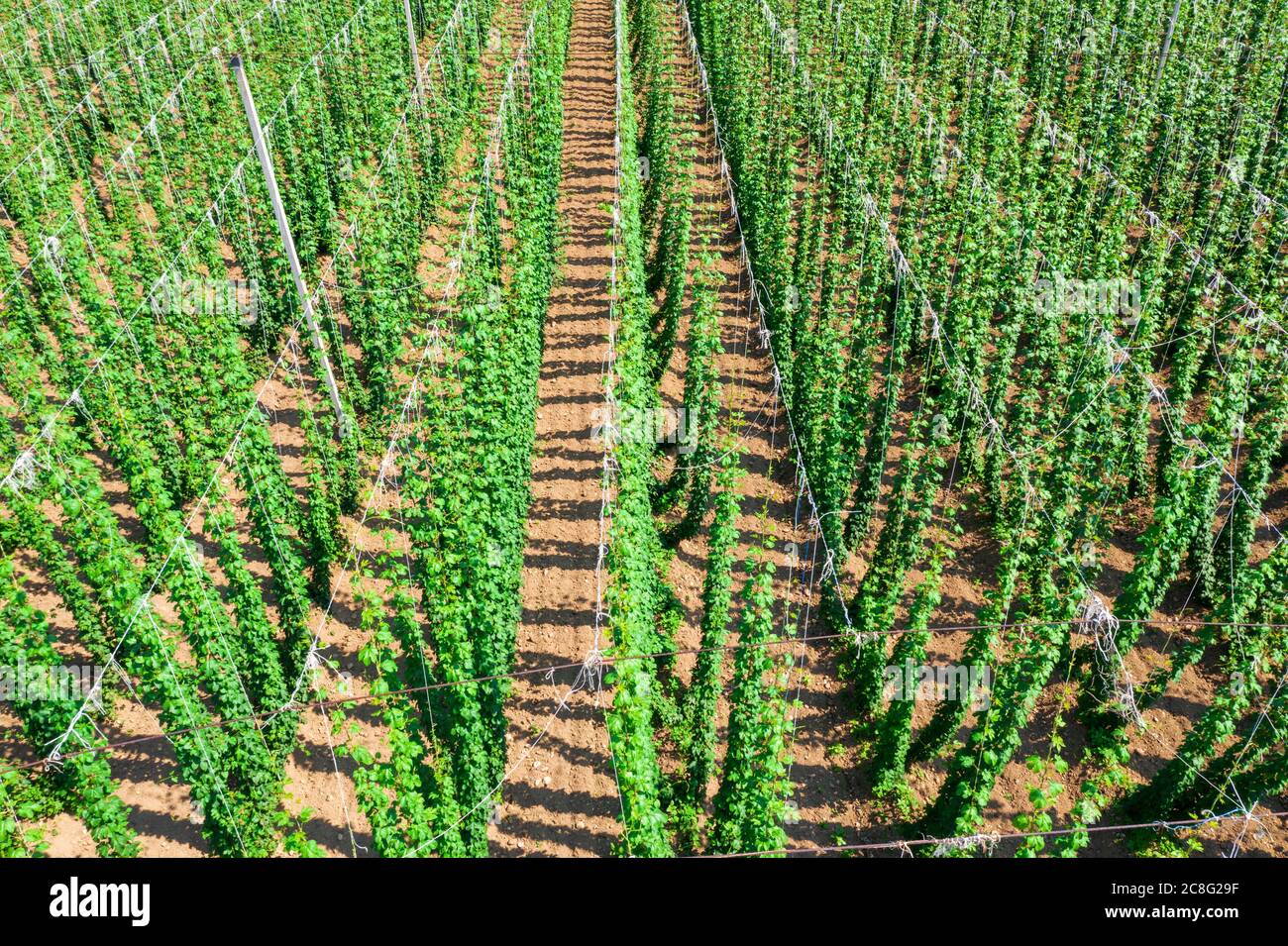 Aerial view brewery beer production hi-res stock photography and images ...