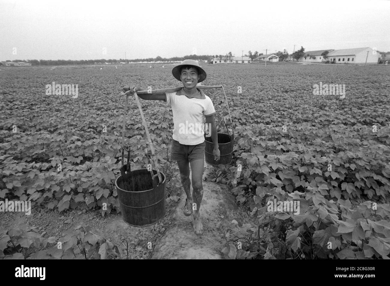 Chinese farmer field Black and White Stock Photos & Images - Alamy