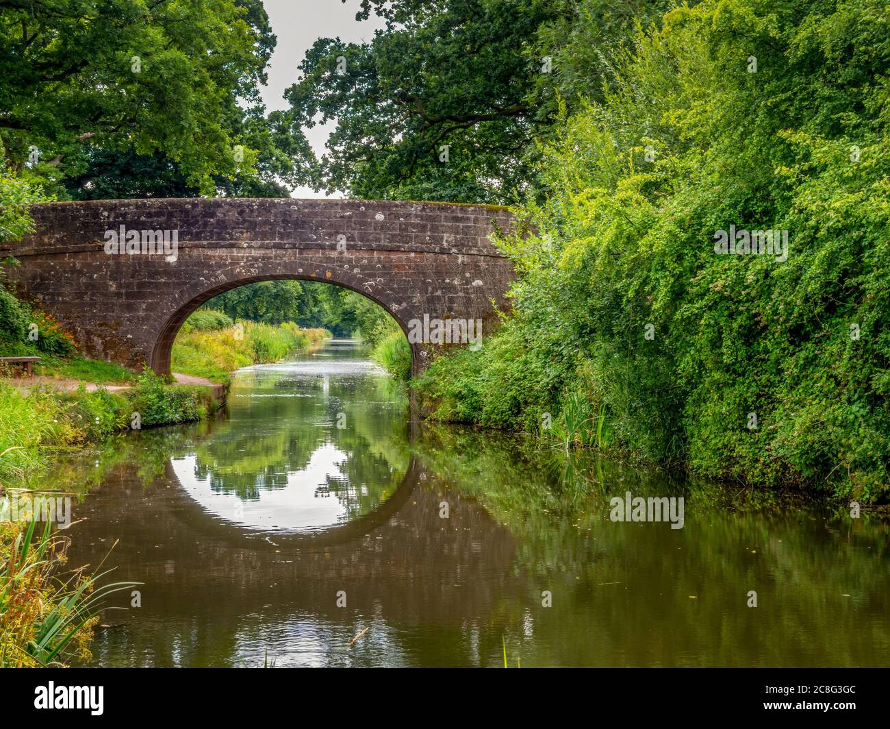 Manley Bridge The Grand Western Canal, Tiverton, Devon. With reflection ...