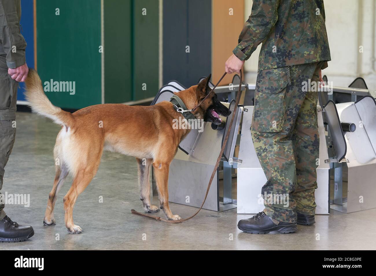 School for service dogs of the bundeswehr hi-res stock photography and ...