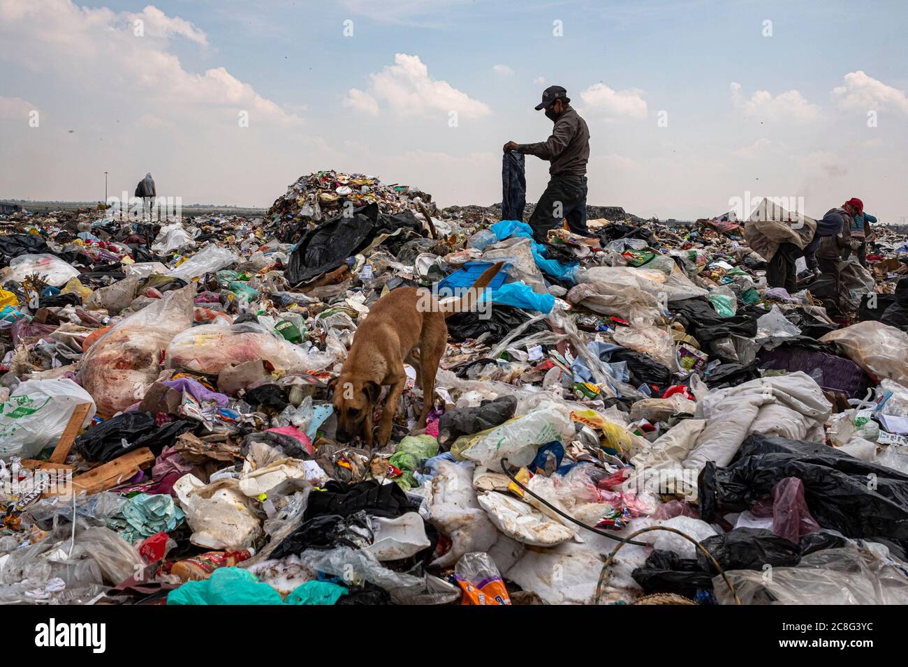 Mexiko Stadt, Mexico. 23rd July, 2020. Garbage collectors work at a ...