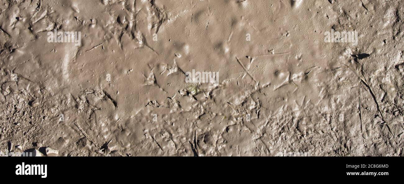 Ground textured surface background. Headline Stock Photo - Alamy